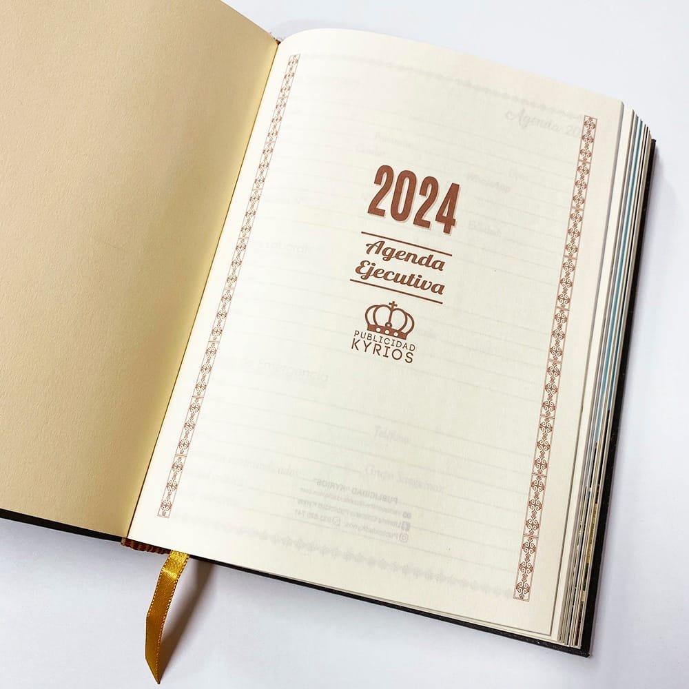 Agenda Ejecutiva Diaria 2024 Azul - Librería Kyrios
