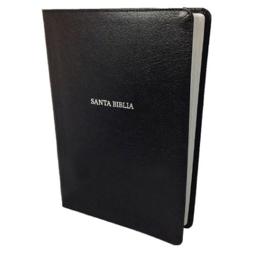 Biblia NVI Letra Gigante Negra - Librería Kyrios