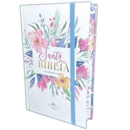 Biblia PERSONALIZADA con Nombre + Tabs Reina Valera 1960 Letra GRANDE ...