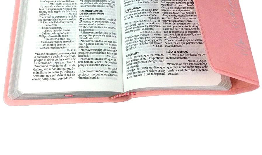 Biblia Reina Valera 1960 Cartera Rosa tapa imantada - Librería Kyrios