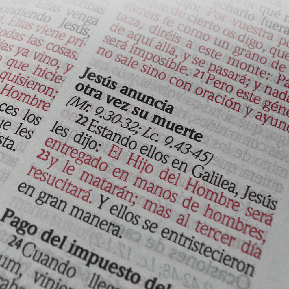 Biblia Reina Valera 1960 Letra Gigante Flexible Filo Plateado Tamaño ...