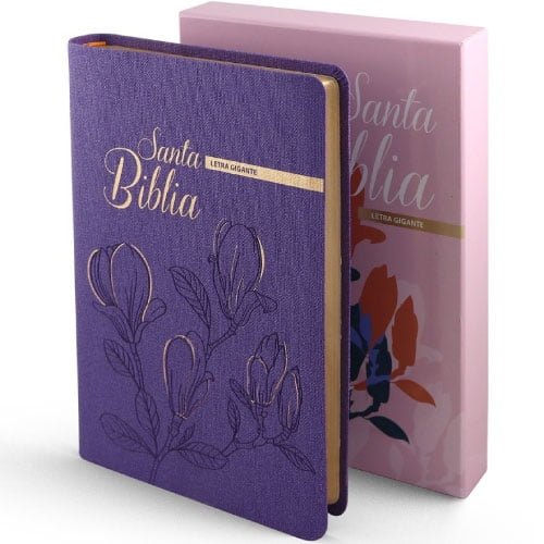 Biblia Reina Valera 1960 Letra Gigante PJR Morada filo Dorado ...