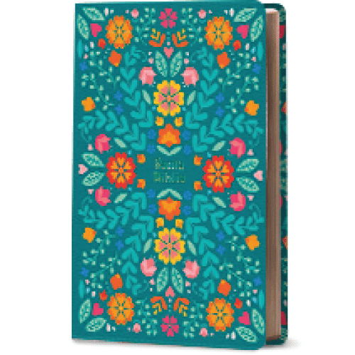 Biblia Reina Valera 1960 Letra Grande PJR Holman Turquesa Floreada filo ...