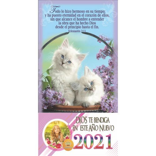 Paquete 100 Almanaques 2021 Cromo A Engrampados - Librería Kyrios