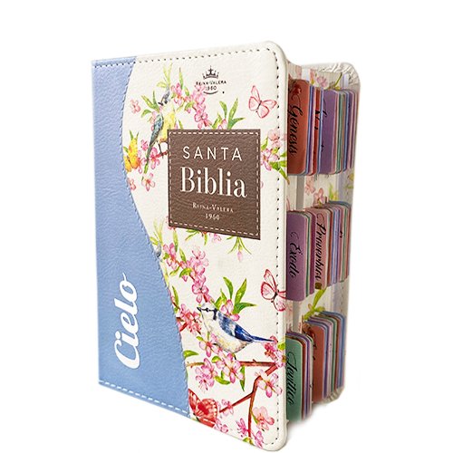 Biblia Reina Valera 1960 Compacta Colección Renovación Celeste ...